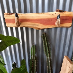Deer Hoof Foot Feet Gun Rack on Beautifully Finished Live Edge Red ...