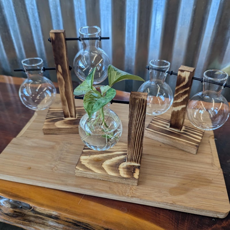Glass Monstera Plant Vase - Etsy