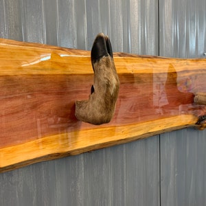 Deer Hoof Foot Feet Gun Rack on Beautifully Finished Live Edge Red ...