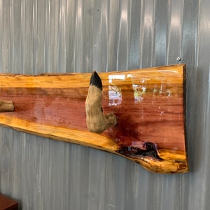 Deer Hoof Foot Feet Gun Rack on Beautifully Finished Live Edge Red ...