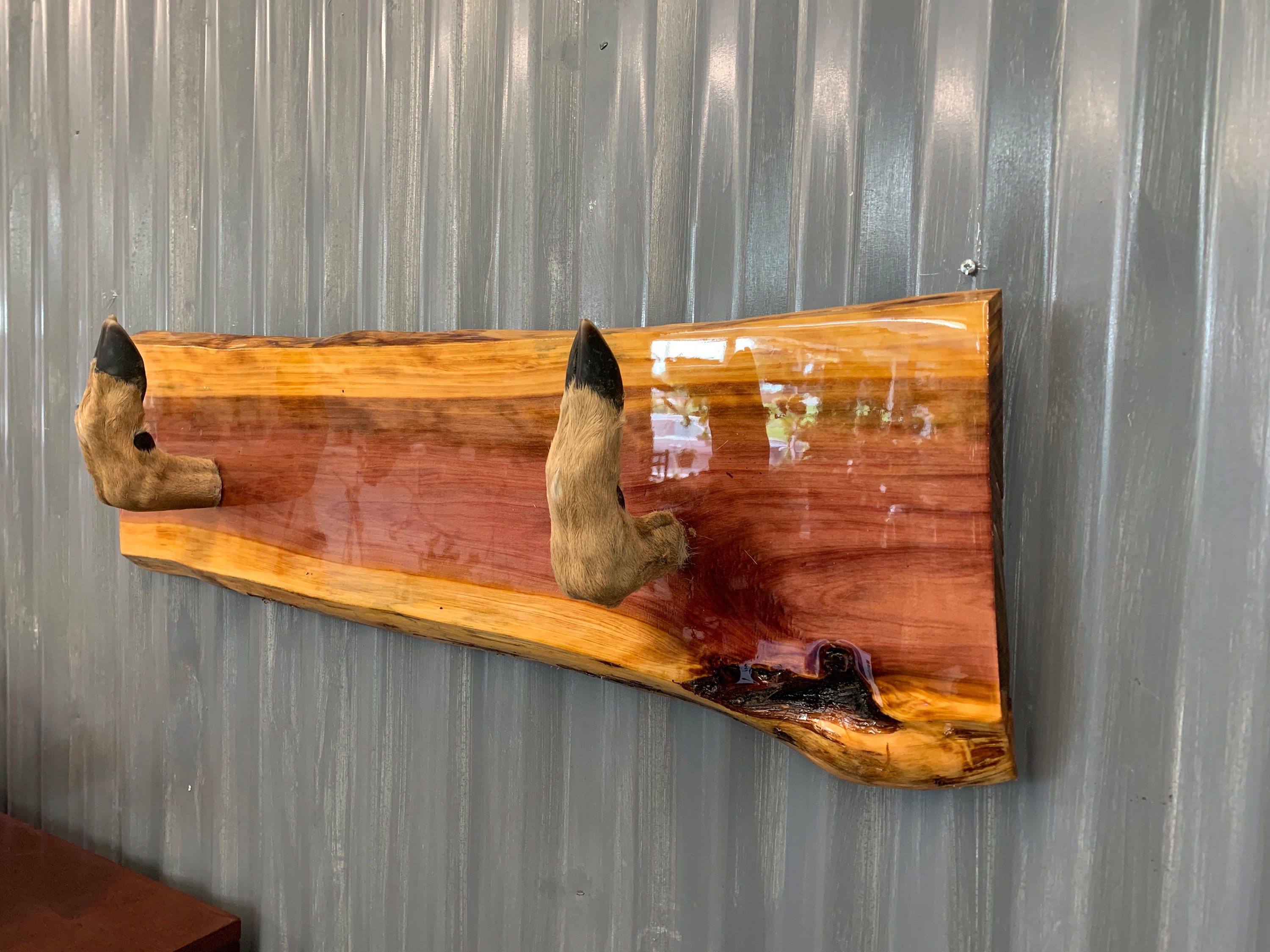 Deer Hoof Foot Feet Gun Rack on Beautifully Finished Live Edge | Etsy
