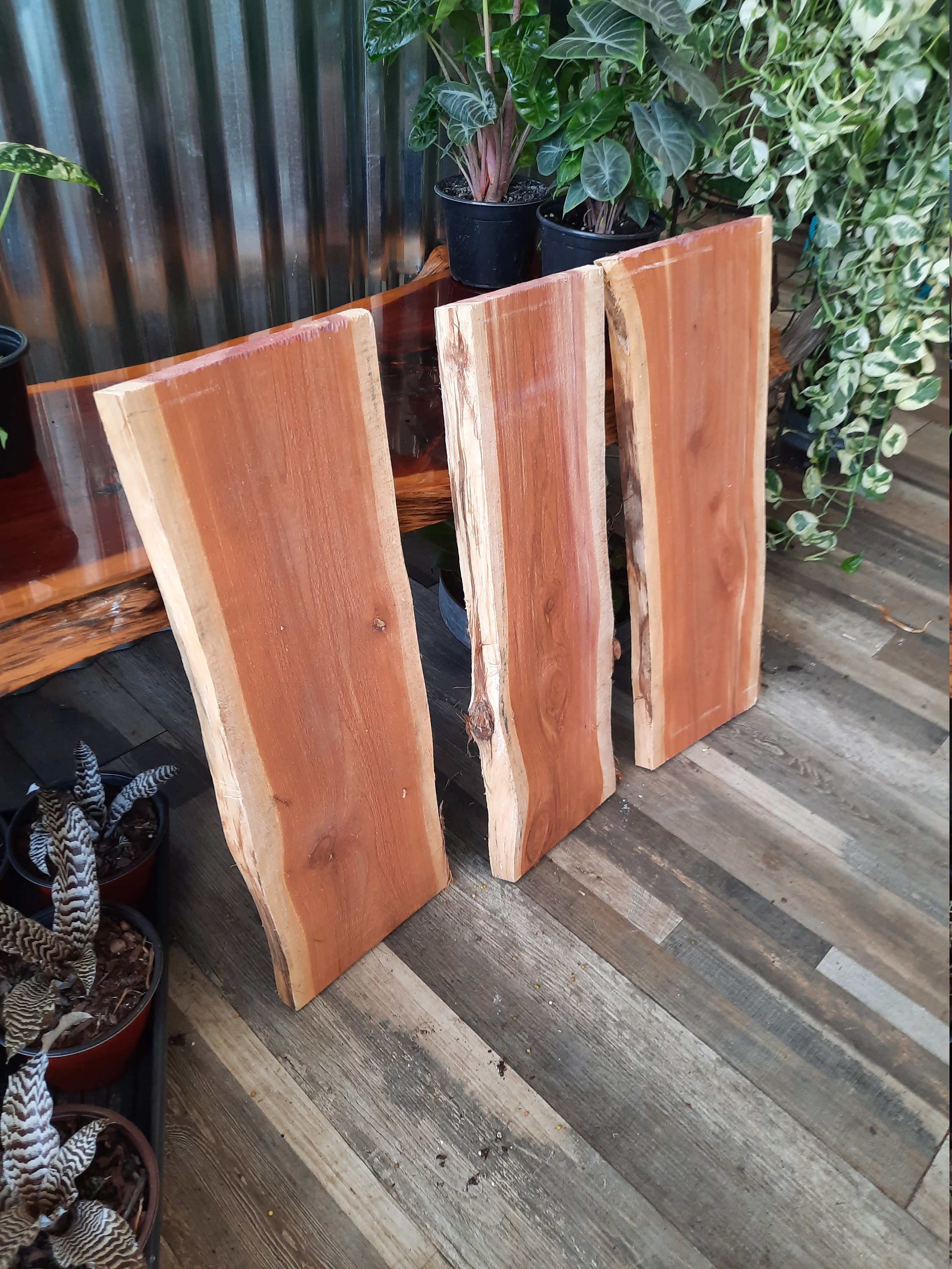 Red Cedar Live Edge Slabs 3 Red Cedar Slabs - Etsy