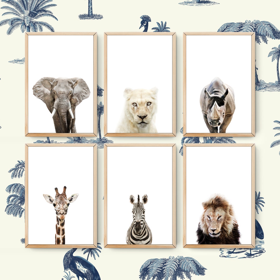 Set of 6 Safari Animal Prints, Animal Nursery Wall Art, Safari ...