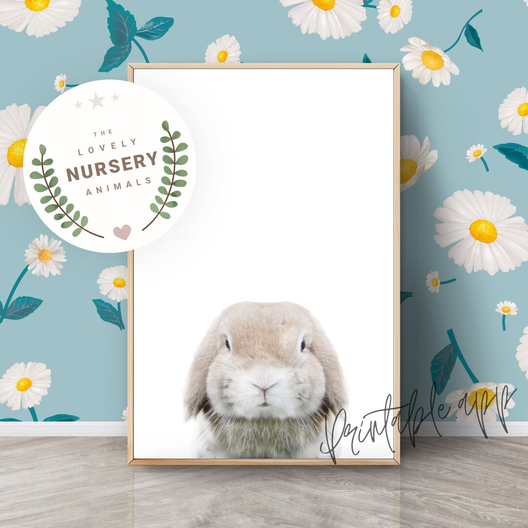 BABY RABBIT Print, Rabbit Nursery Wall Art, Rabbit Printable, Rabbit ...