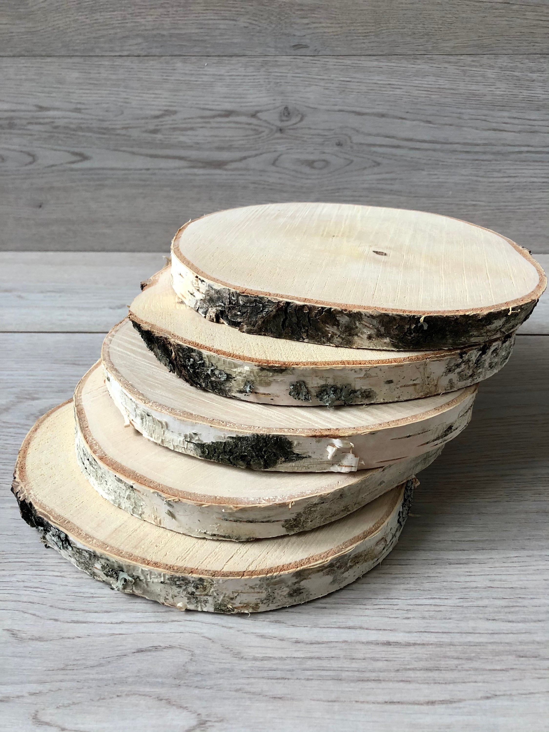 5 PCS 8" Inches Birch Slice | Wooden Slices | Rustic Wood Slices for ...