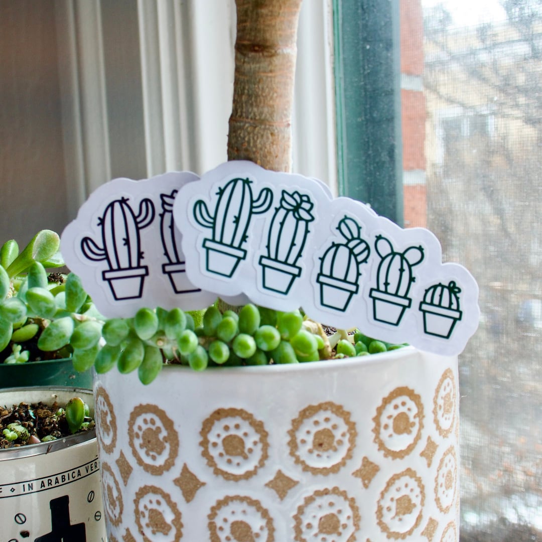 Cactus Sticker Set Cacti Stickers Plant Mom Gift Water Bottle or ...