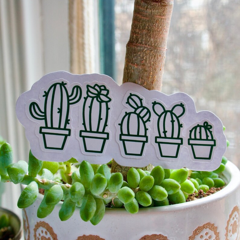 Cactus Sticker Set Cacti Stickers Plant Mom Gift Water Bottle or ...
