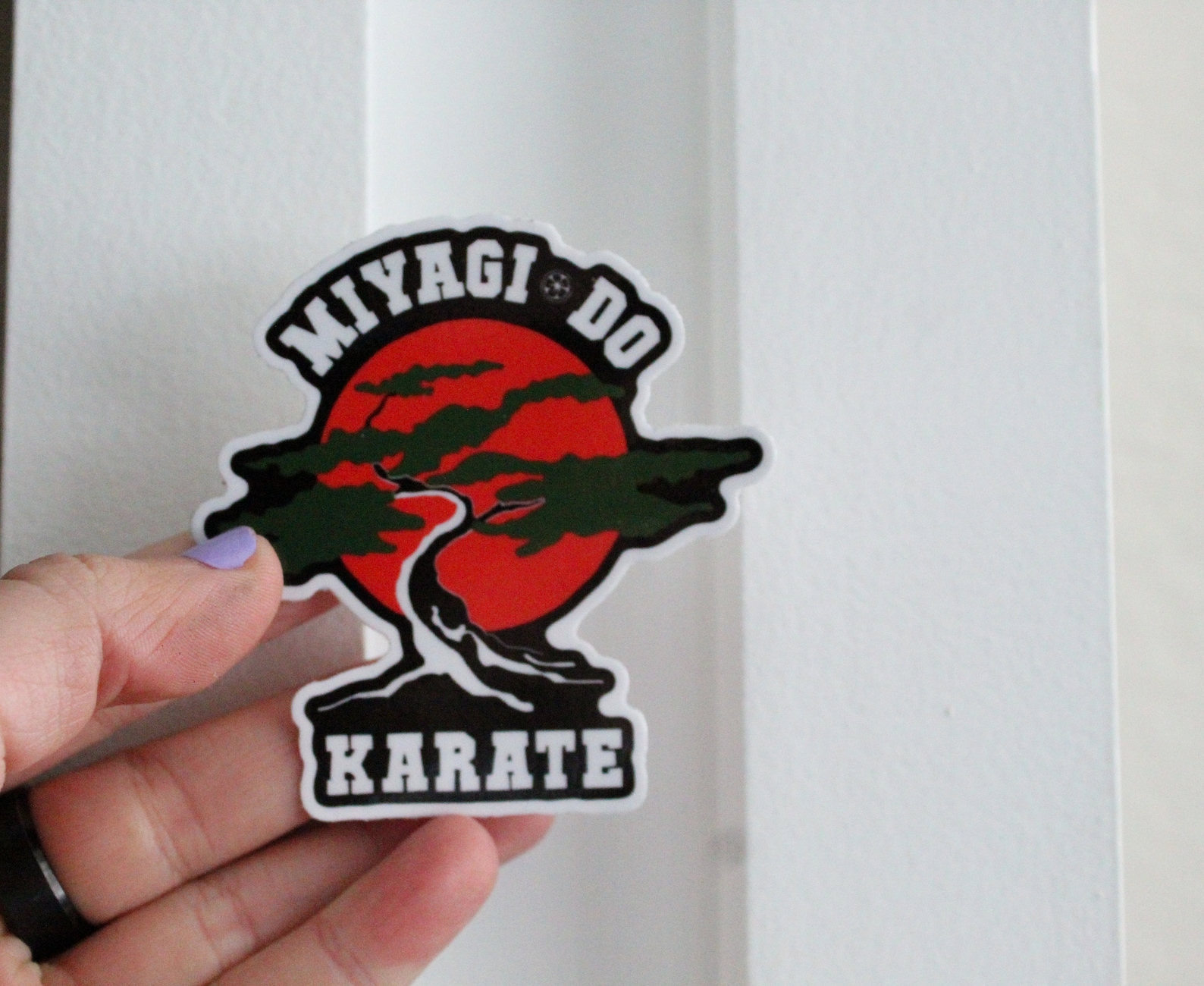 Ultimate Cobra Kai Sticker Pack | Etsy