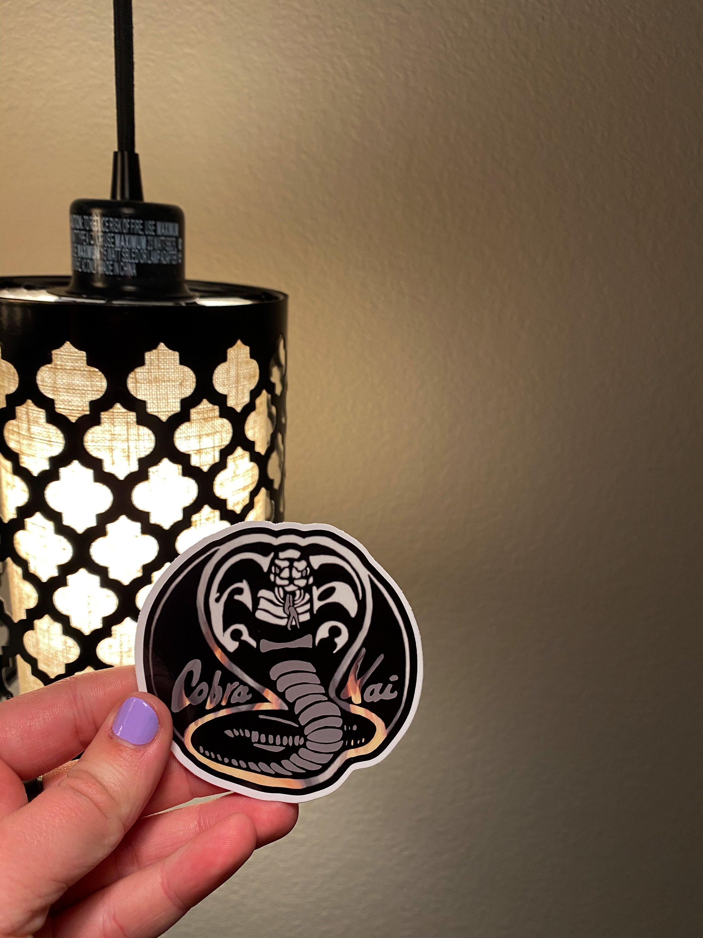 Karate Kid Sticker Pack - Etsy