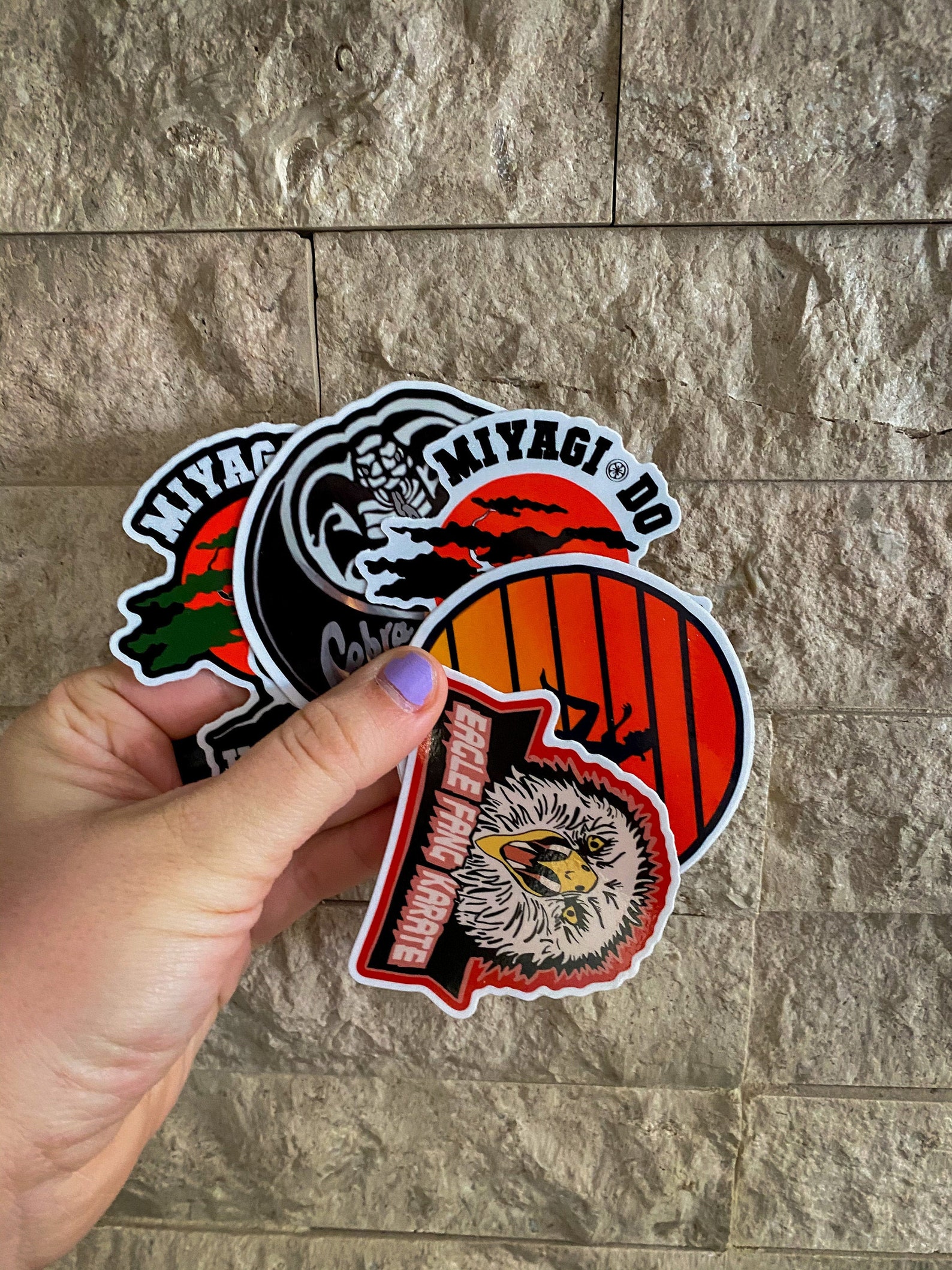 Ultimate Cobra Kai Sticker Pack - Etsy