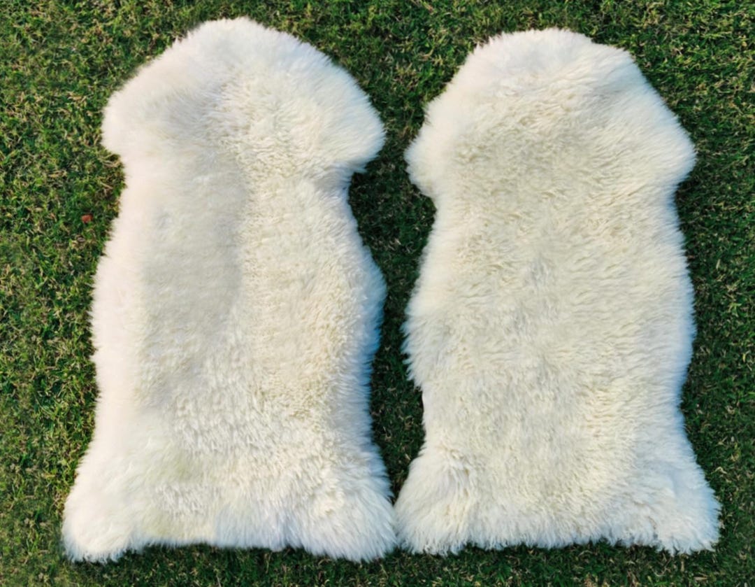 Genuine Sheepskin Rug Baby Sheepskin Soft and Cutie Fur Single Pelt ...