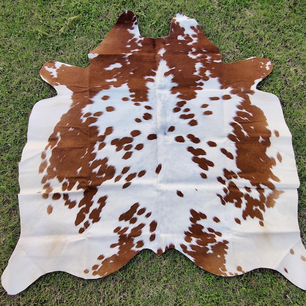Cow Hide Rug - Etsy