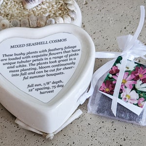 HEART TREASURE BOX Porcelain Shell - White With Seashell Seed Packet ...