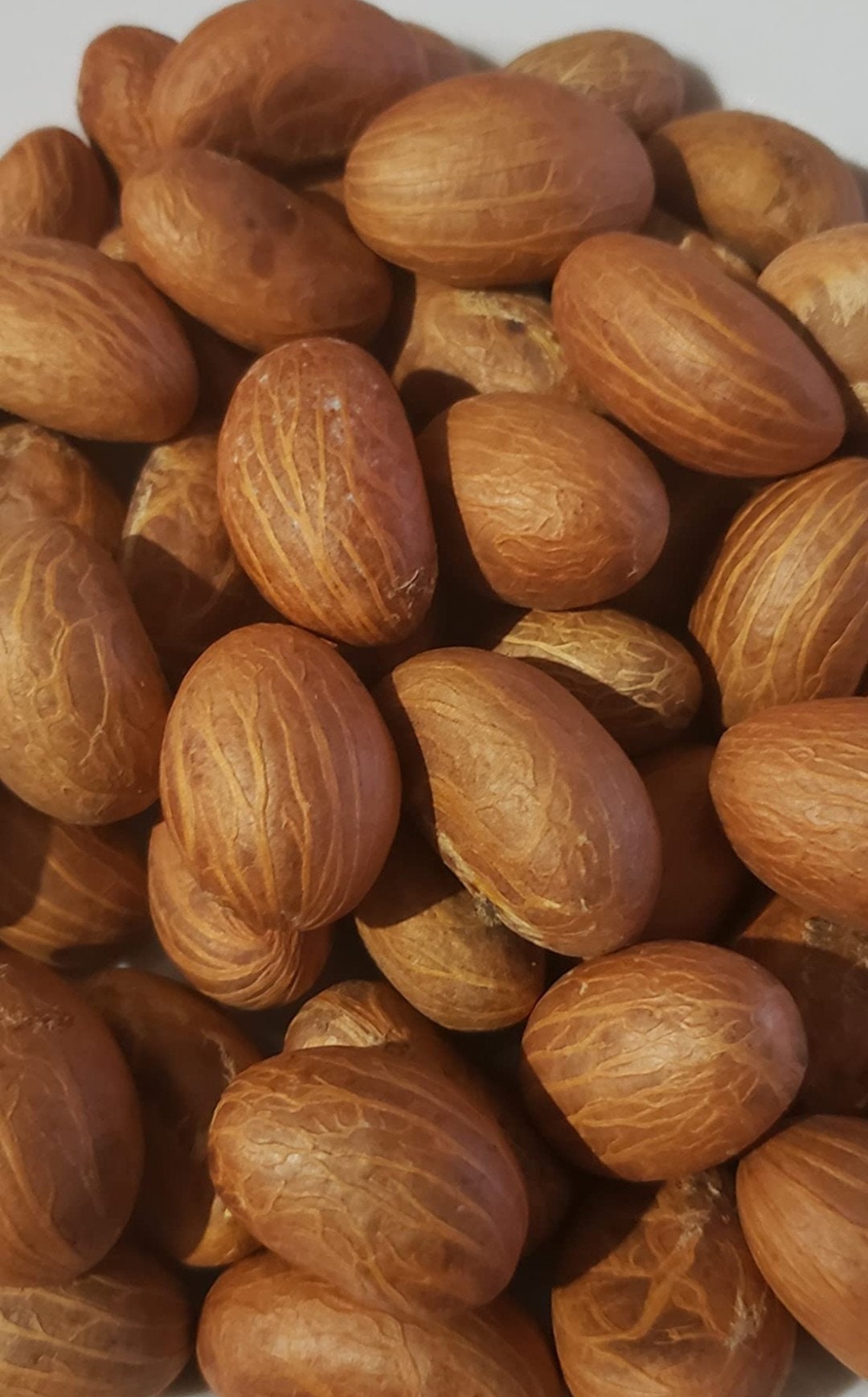 Bitter Kola Nuts, Orogbo Kola Nuts, Garcinia Kola Nuts Very Fresh and ...