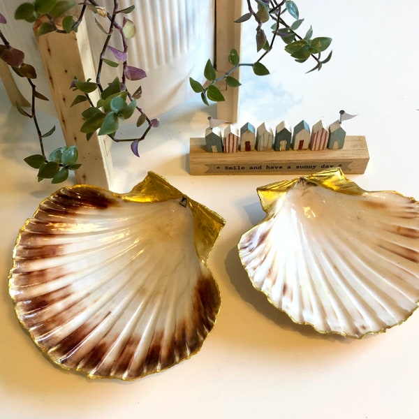 Shell Trinket Dish - Etsy UK