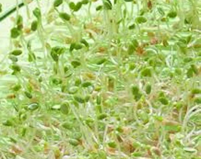 Flax Seed, Sprouting Seeds, Microgreen, Sprouting, Non GMO - Etsy