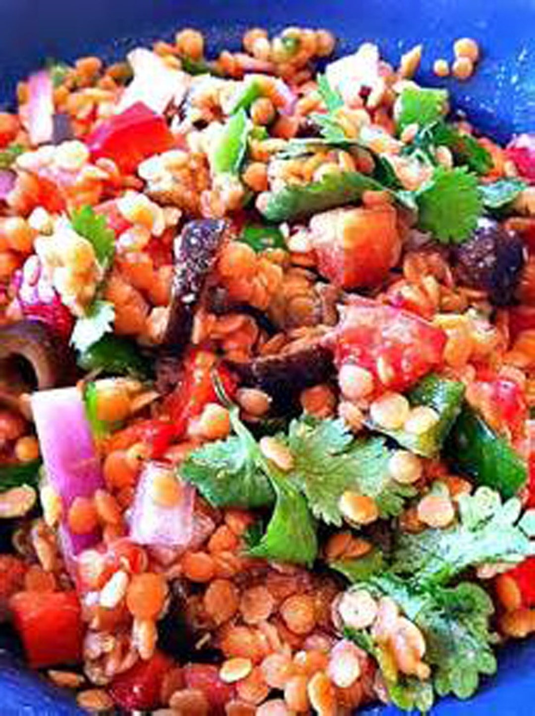 Lentil Seed Red Lentil Seeds, Microgreen, Sprouting Seed, NON GMO ...