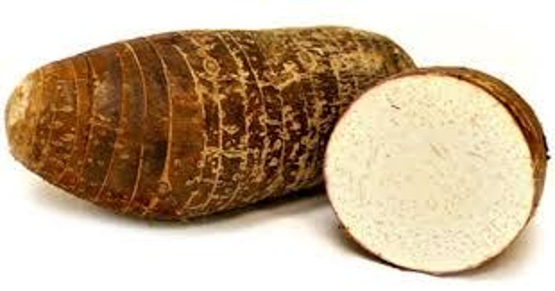 Taro Root (corms) - Grow Your Own Tropical Edible -white Flesh ...