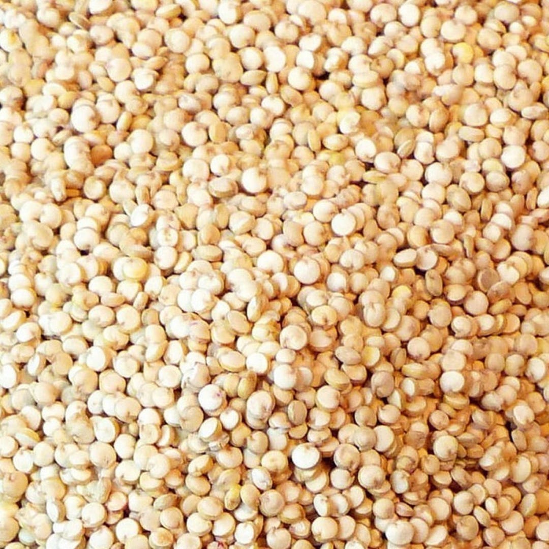 Grain Assortment Mix Seeds, Microgreens, 2 Ounces Each of Quinoa ...