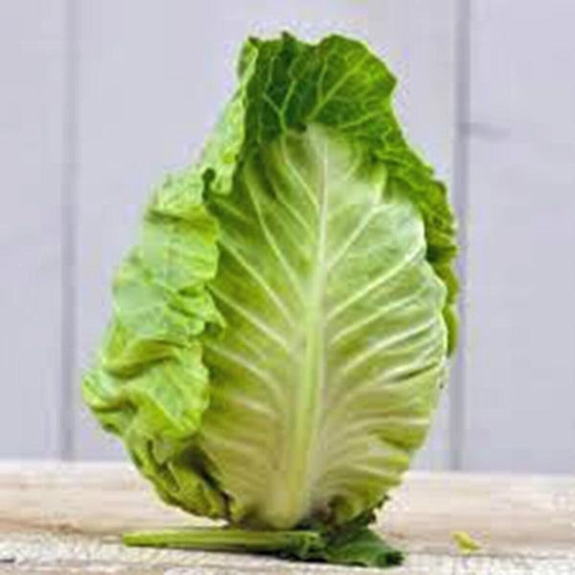 Cabbage, Charleston Wakefield, Heirloom, NON-GMO Seeds, Tasty Healthy ...