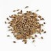 Anise, Herb Seeds, NON GMO Seeds, Seeds for Home Gardening, Country ...