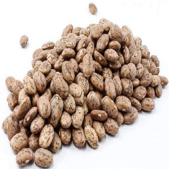 Shell Pinto Bean Seeds Tasty and Easy to Grow Country Creek - Etsy