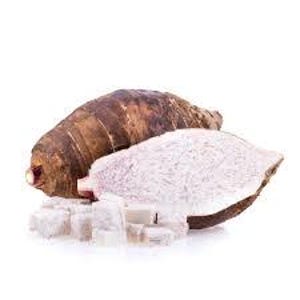 Taro Root (corms) - Grow Your Own Tropical Edible - Delicious ...