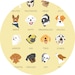 I Feel Dogs Poster, Feelings and Emotions Chart, Feelings List ...