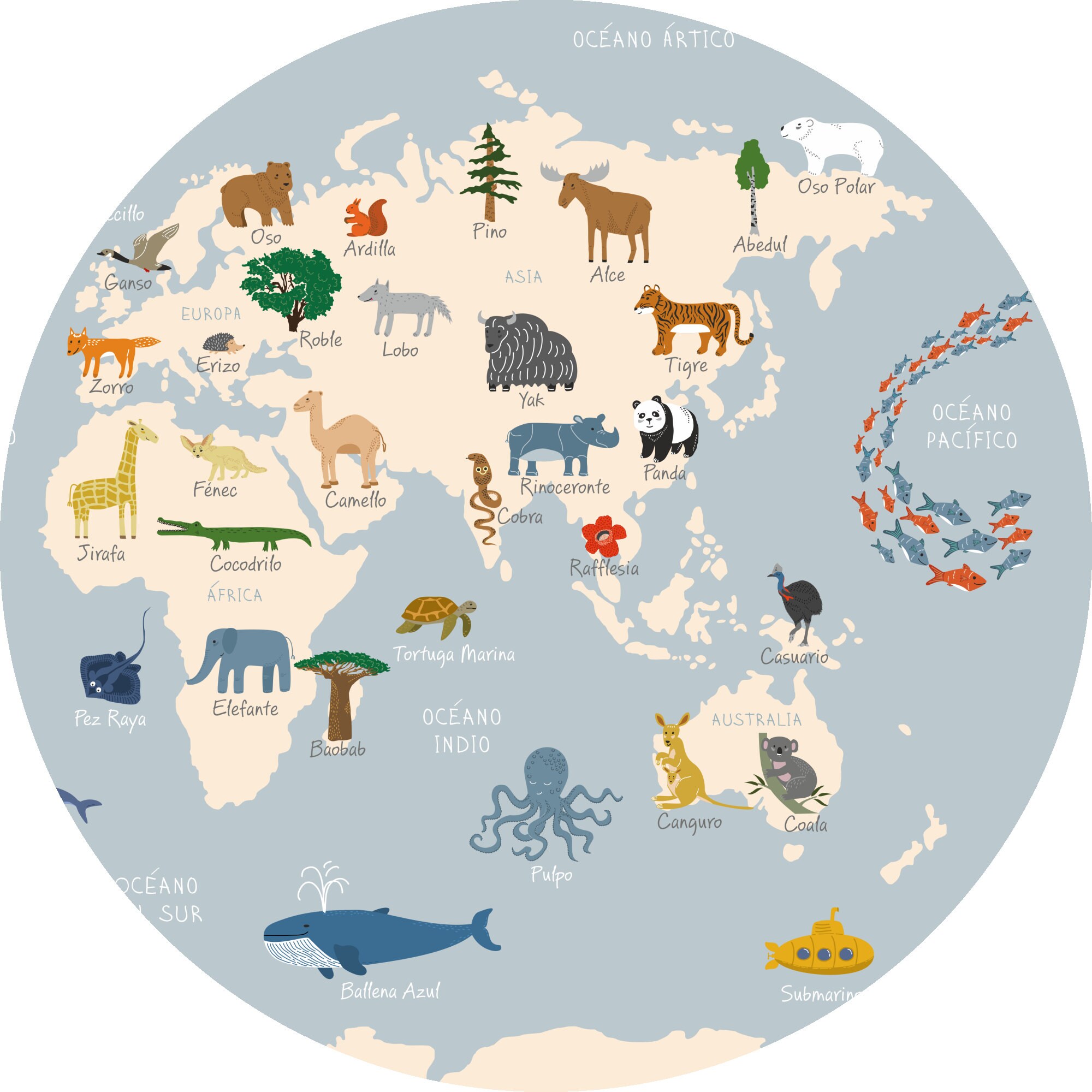 Spanish World Map: Educational Kids' Room Art (printable) - Etsy