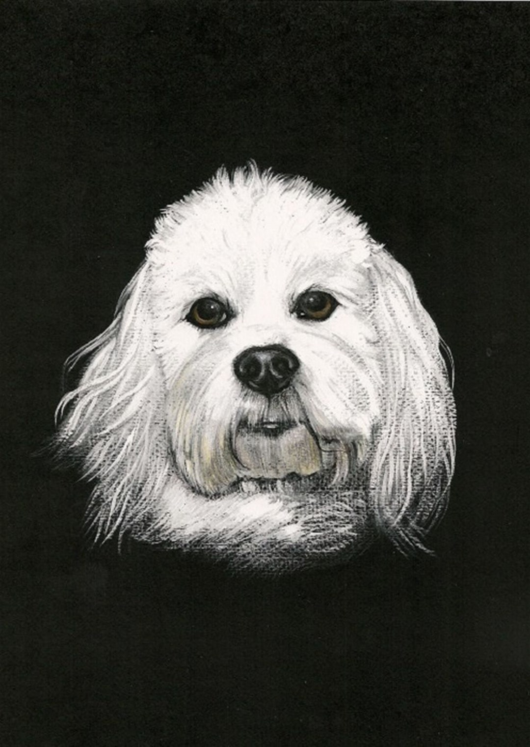 5x7 Lhasa Apso RYTA Dog Pet Portrait Animal Figure Interior Home House ...