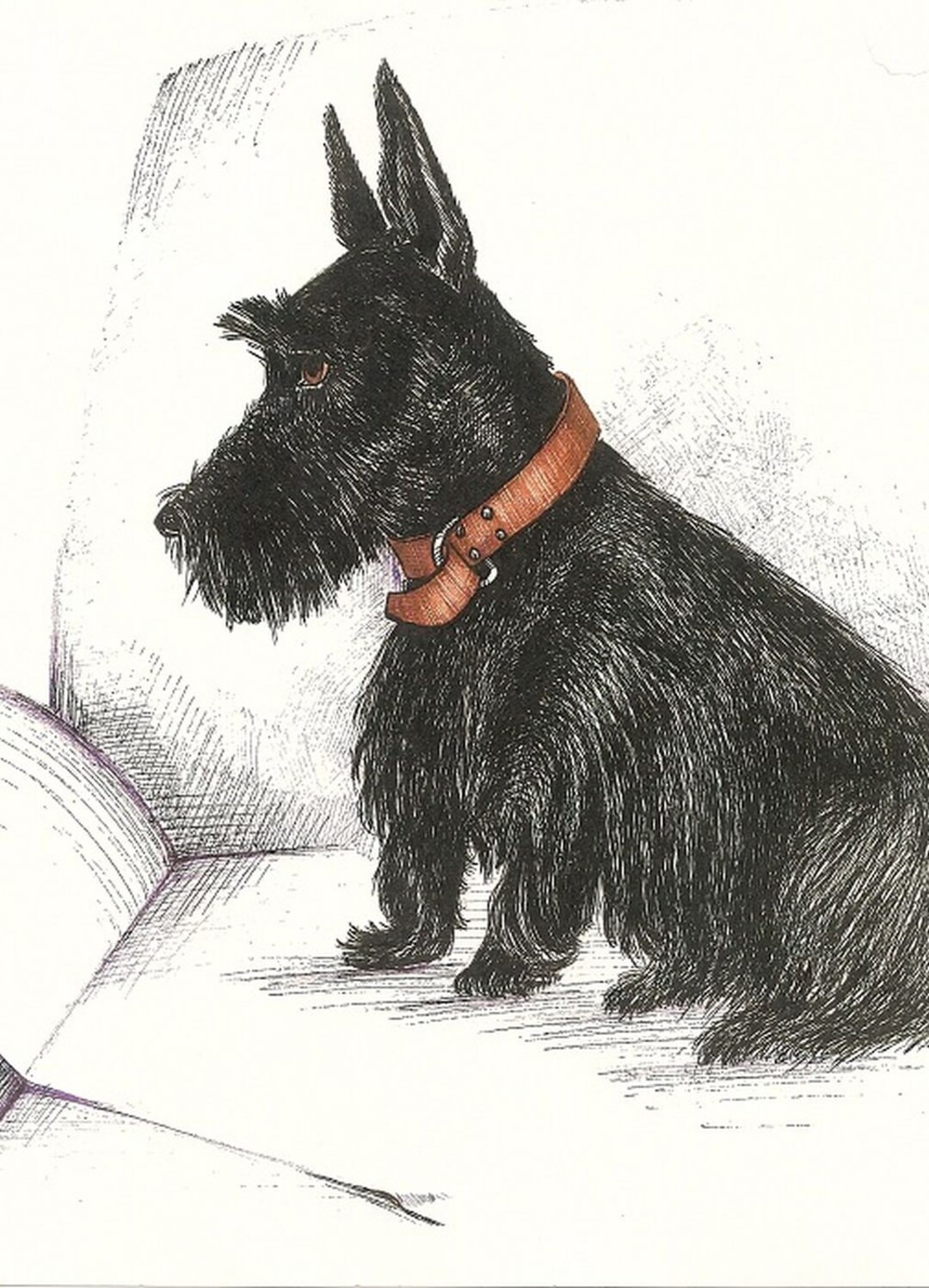 ACEO Maxwell RYTA Scottish Terrier Scottie Portrait Sketch Pet Ink ...