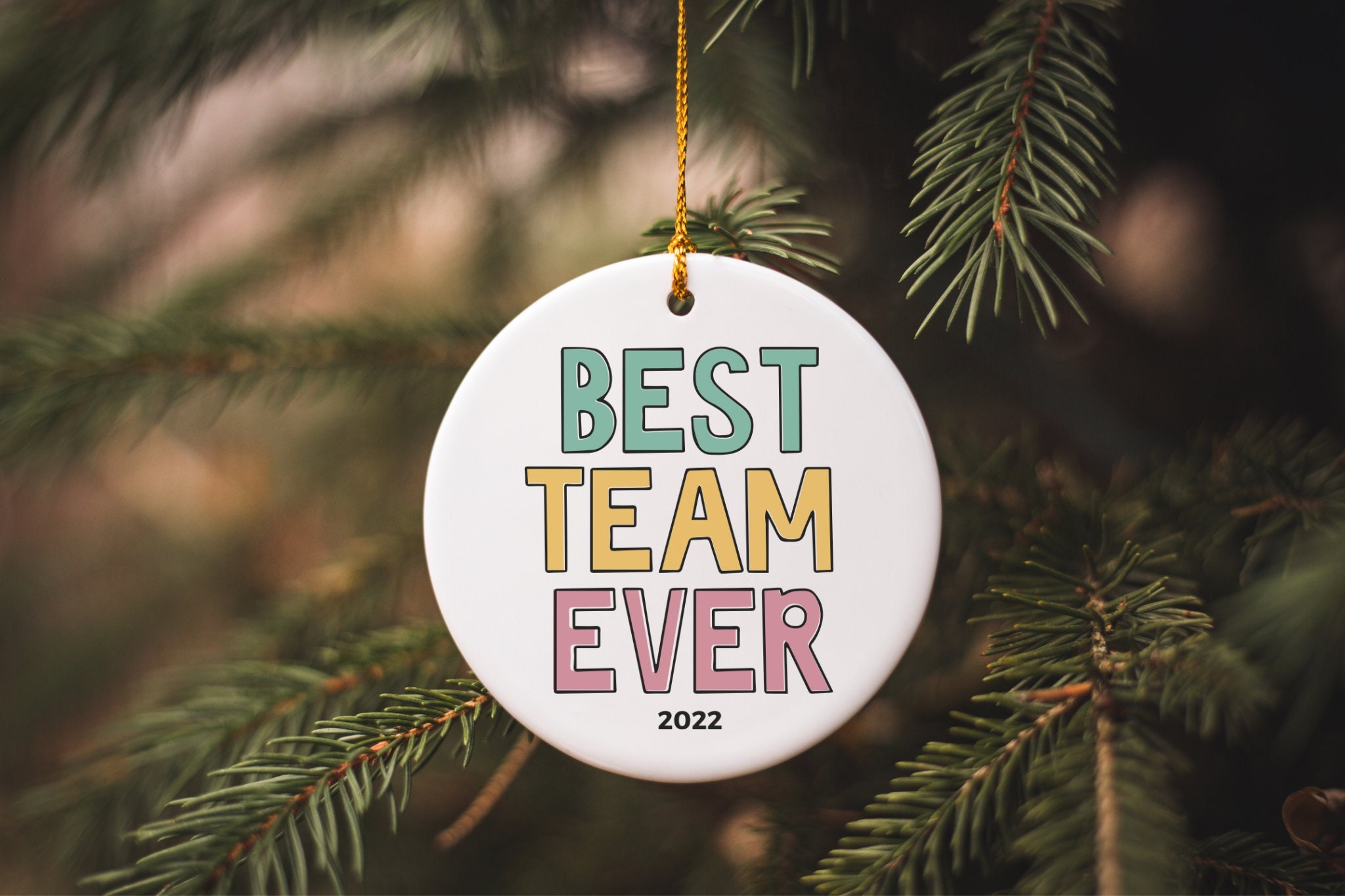 Best Team Ever Gift Team Ornaments Employee Ornament Work - Etsy