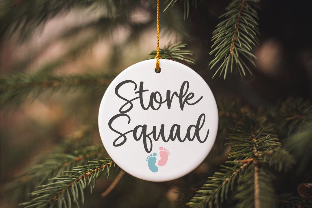 Stork Squad Ornament, Labor and Delivery Ornament, NICU Ornament ...