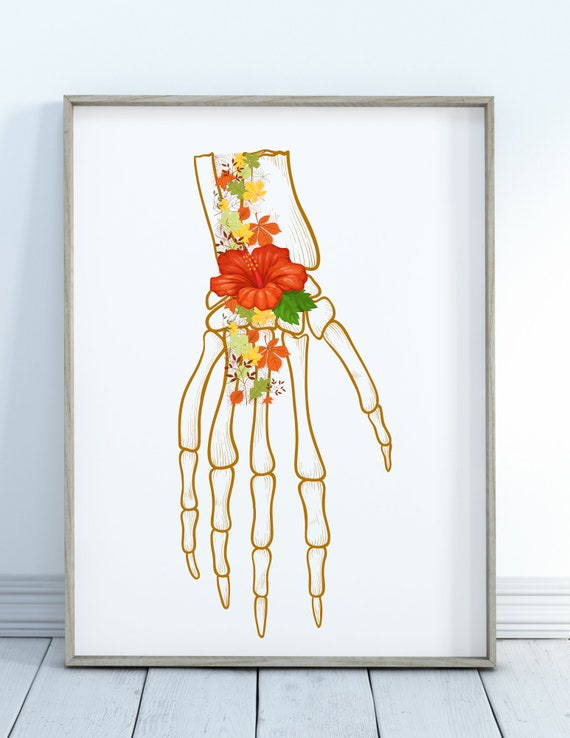 Hand Anatomy Art Medical Art Printable Digital Download - Etsy