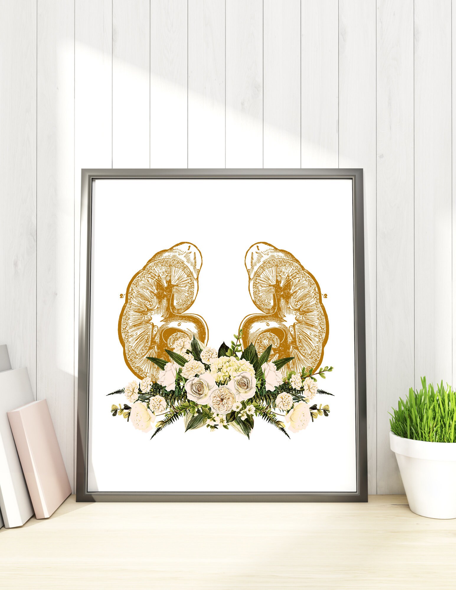Kidneys Anatomy Art, Medical Art, Printable, Digital Download, Office ...