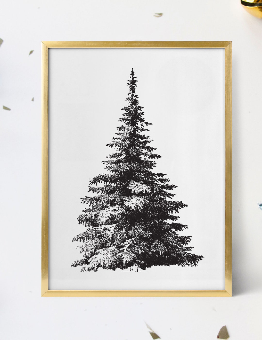 Christmas Tree, Black and White Tree, Holidays Printable, Christmas ...