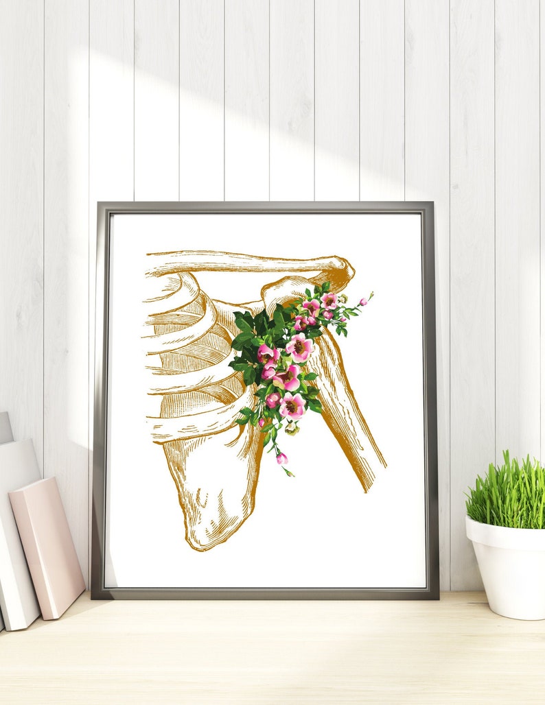 Shoulder Anatomy Art, Medical Art, Vintage, Printable, Digital Download ...