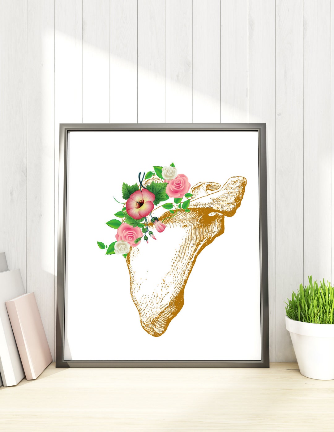 Shoulder Blade Anatomy Art, Scapula Medical Art, Vintage, Printable ...