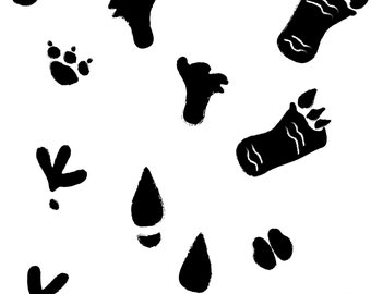 Monster Feet Stencil - Etsy UK