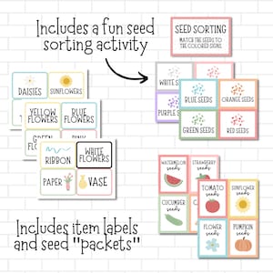 EDITABLE Flower Shop Dramatic Play Kit | Spring Activity | Preschool ...