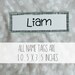 EDITABLE Modern Colorful Name Tags | Printable Classroom Nametags ...