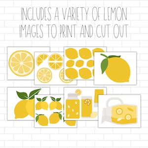 PRINTABLE Lemonade Stand Dramatic Play Kit Summer Activity - Etsy