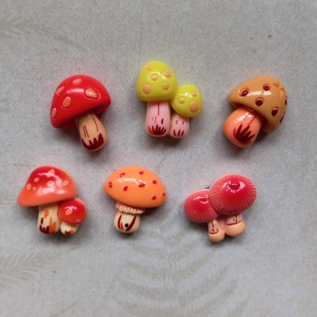 Set of 6 Mushroom Magnets With Gift Bag - Etsy