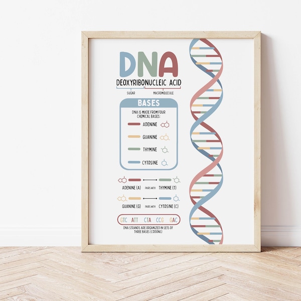 Dna - Etsy