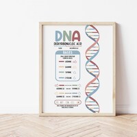 Dna Strand SVG Bundle, Dna Strand Png, Genes Clipart, Helix Dxf, Dna ...