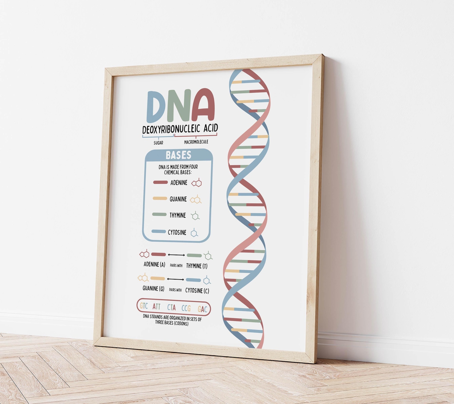 DNA Chart Poster | Homeschool Wall Art | Educational Wall Art ...
