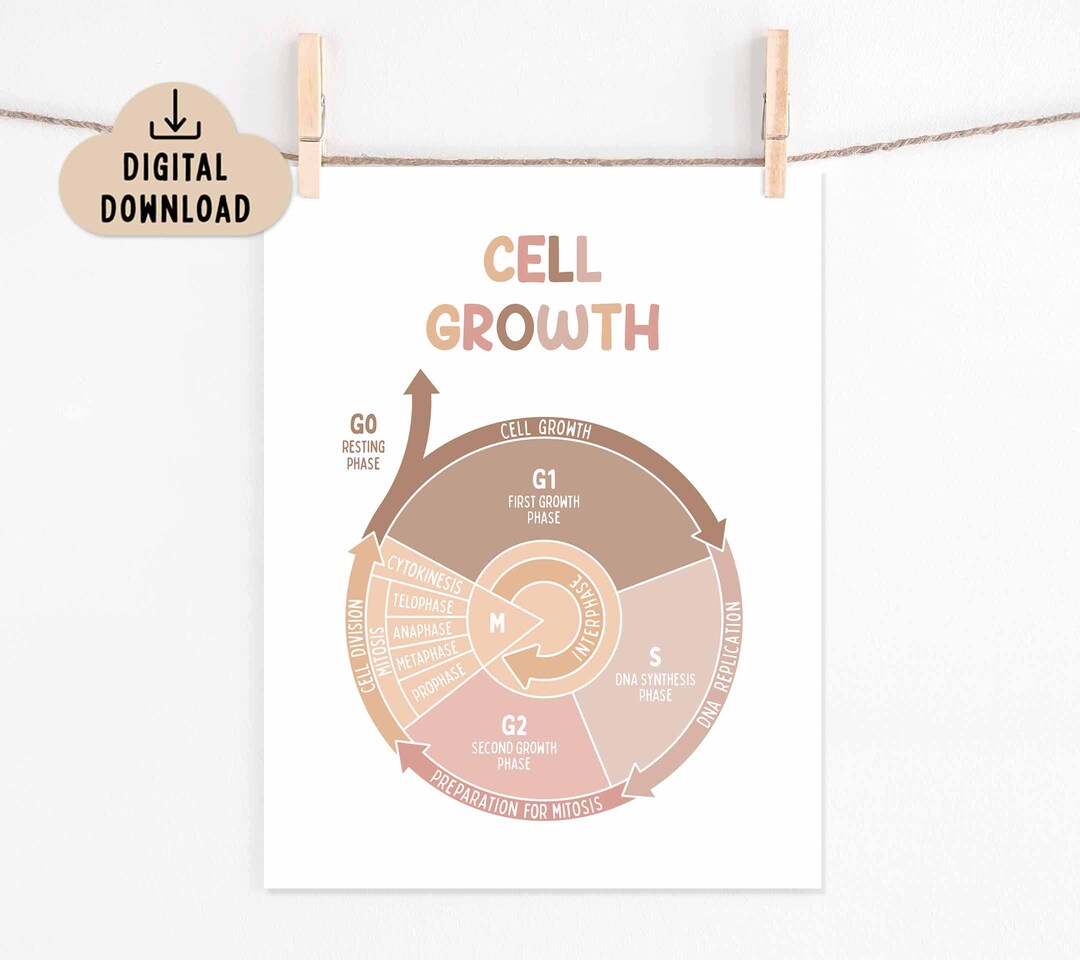Cell Growth Educational Poster Printable, BOHO Colors (digital Download ...