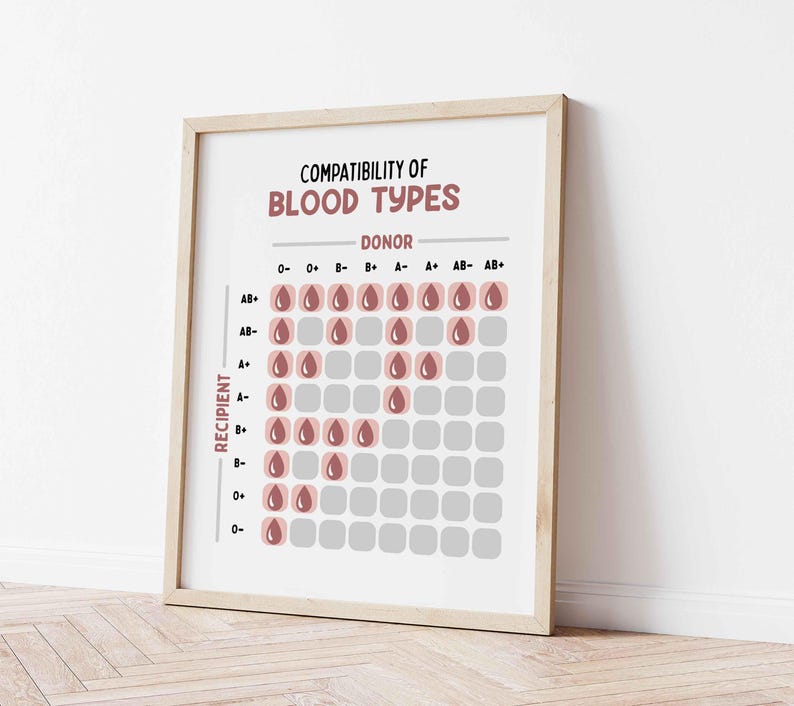 Blood Types Chart Poster | Classroom | Medical Print | Educational Wall ...