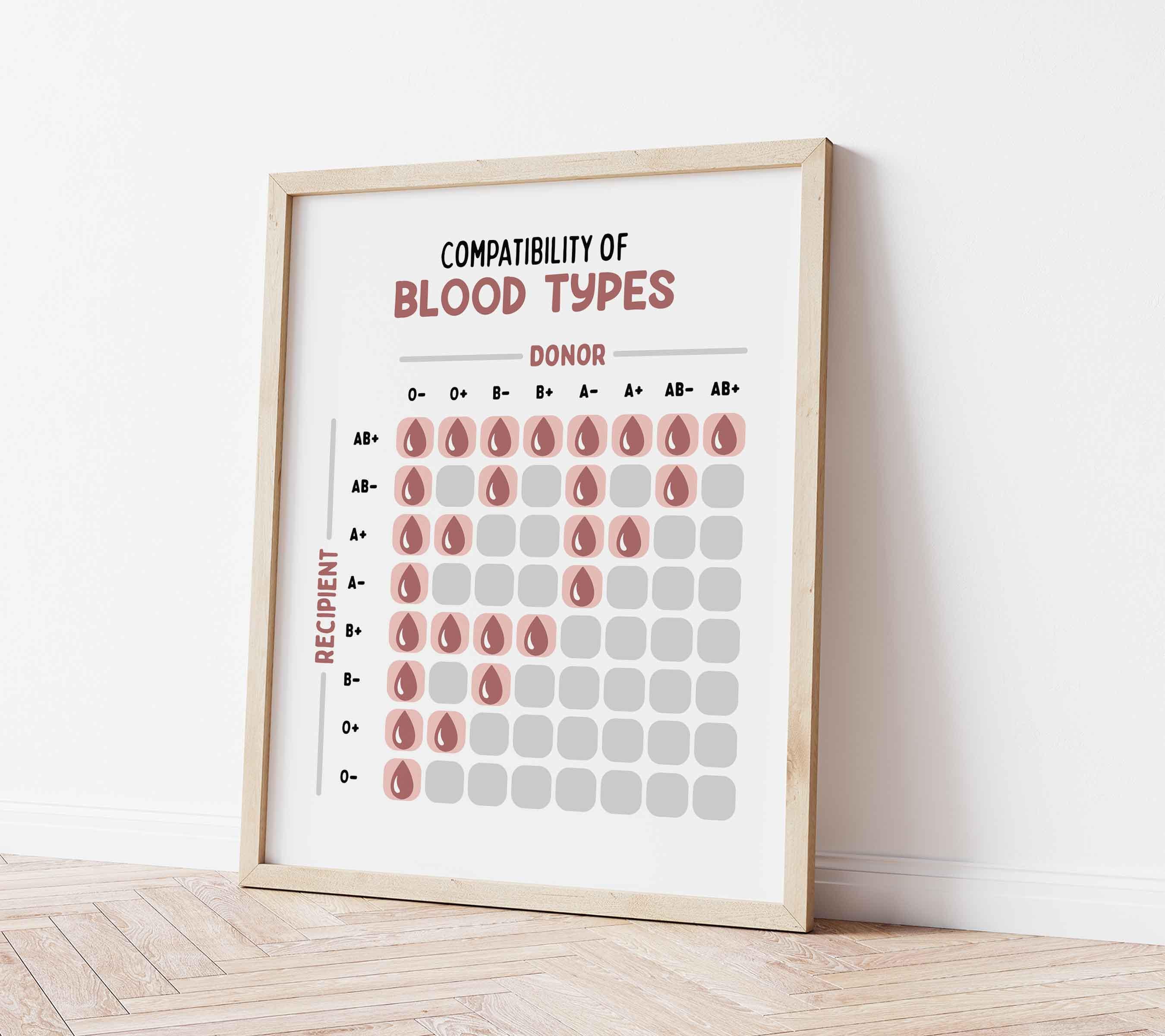Blood Types Chart Poster | Classroom | Medical Print | Educational Wall ...