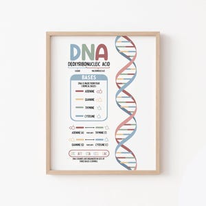DNA Chart Poster | Homeschool Wall Art | Educational Wall Art ...